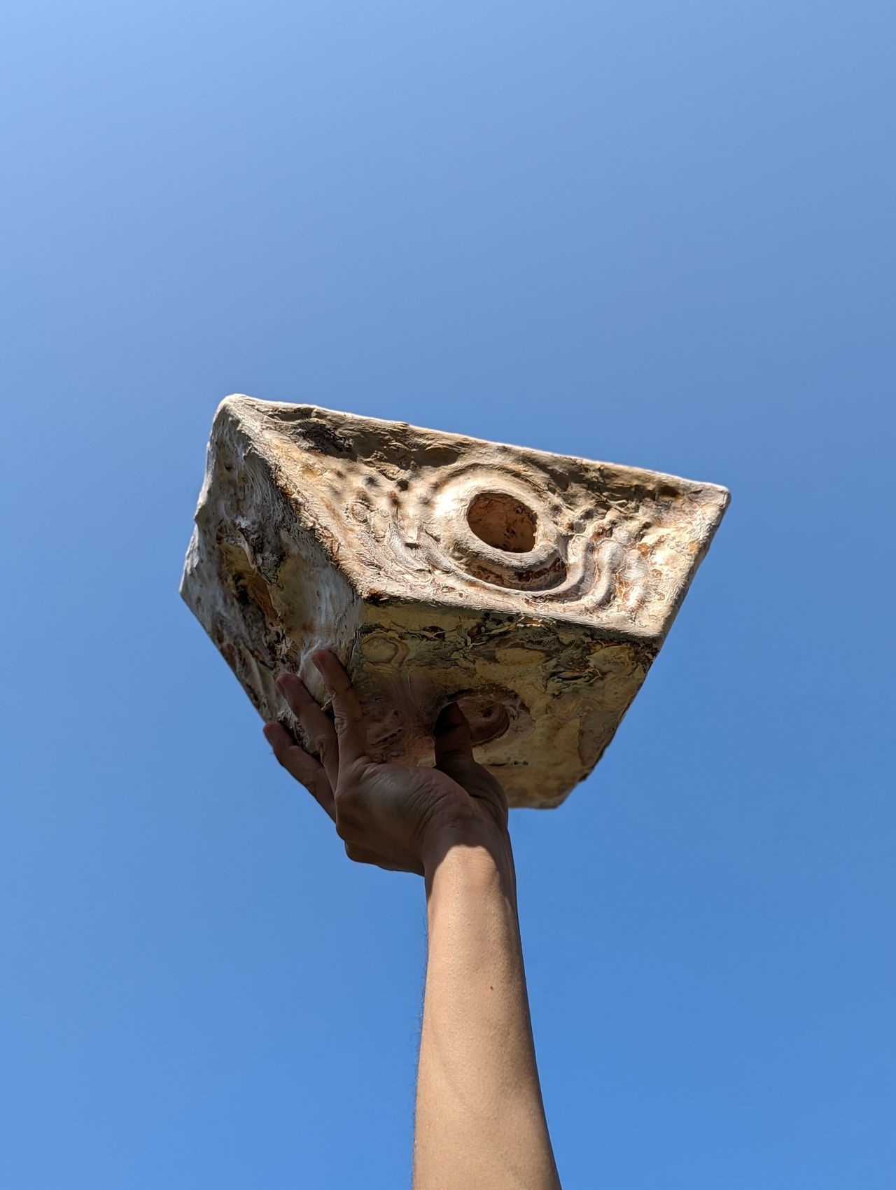 PLP Labs, Symbiocene Living – Mycelium Building Blocks – 마실와이드_MasilWIDE